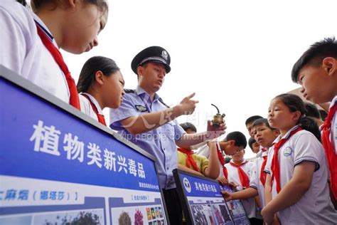 浙江温州：禁毒知识进校园 人民图片网