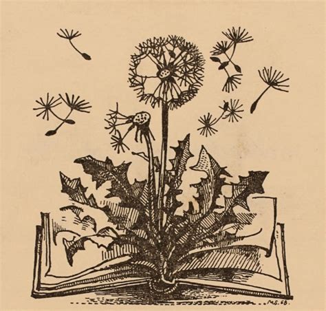 Temperature Regimes For Germinating Native Plants Plant Propagation