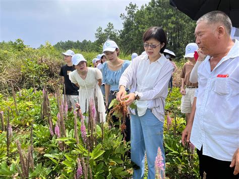 【新时代赣鄱先锋】张金莲：潜心育人铸师魂，倾心为民促发展 组织部