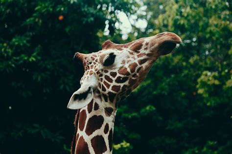 10 Common Working Memory Problems And How To Fix Them