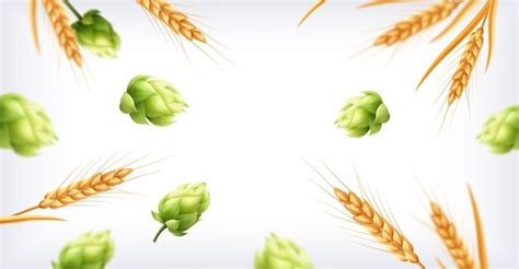 Premium Vector Realistic Beer Ingredients Background