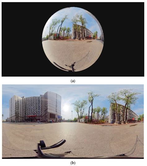 Multi Object Tracking Model Based On Detection Tracking Paradigm In Panoramic Scenes