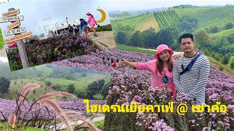 ไฮเดรนเยียคาเฟ่ เขาค้อ คาเฟ่ ทุ่งดอกไม้สีม่วง มุมถ่ายรูปเก๋ไก๋สไตล