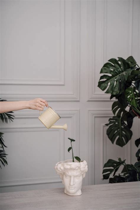 Фотосессия в студии для маркетолога — Фотограф Анастасия Ласти Дизайн листовок Фотосессия