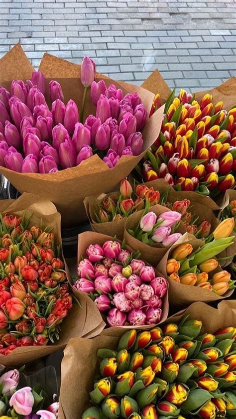 50 самых красивых цветов в мире