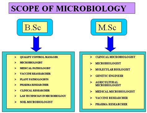 Microbiology Jobs