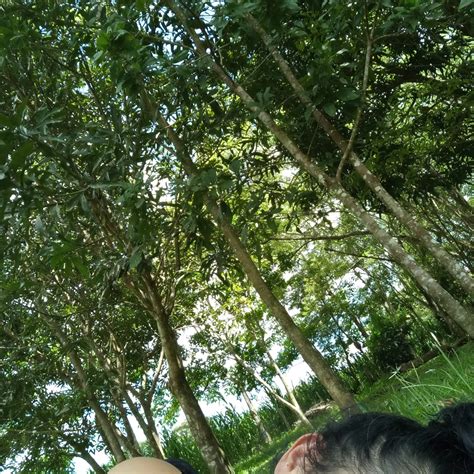 Elsy Herrera Cleopatra Elsyherreracleopatra • Instagram Photos And Videos