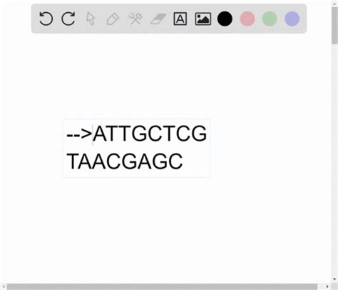 SOLVED Using The Complementary Base Pairing Rule What Is The Complementary Sequence To
