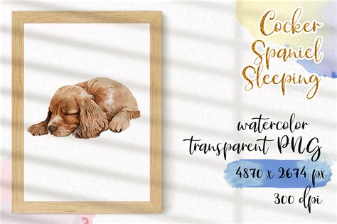 Cocker Spaniel Sleeping Graphic By Sellingpod · Creative Fabrica