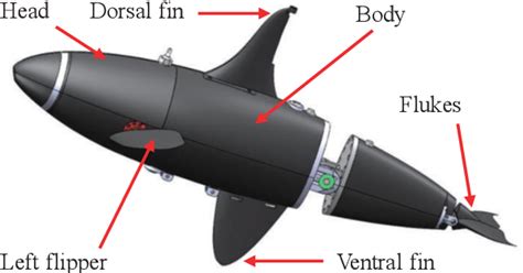 Figure 1 From Underwater Slam Implementation For A Bionic Robotic Dolphin Semantic Scholar