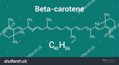 Chemical Structure Betacarotene C40h56 Stock Vector Royalty Free