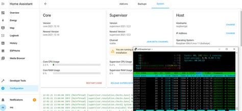 Raspberry Pi Zero W Home Assistant OS Home Assistant Community