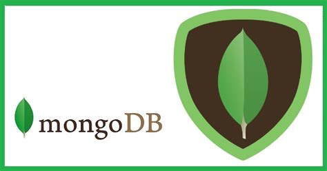 Uso De Los Comandos Mongodump Y Mongorestore Blog El TallerWeb
