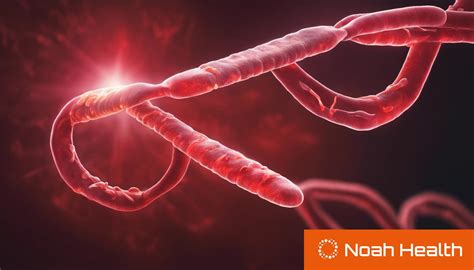 Fda Approves Pioneering Gene Therapies For Sickle Cell Disease Noah