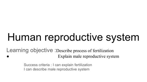 Human Reproduction Fertilization And Male System