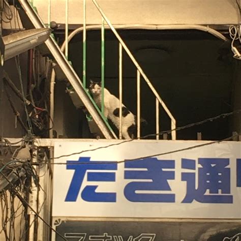 進藤 シャトーペトラ吉原 On Twitter Rt Cabin0552371818 🙏春日も戌の刻いり🐶💓☔️😱🌻🧕🙏🦠💊🙏🔞♨️🙏