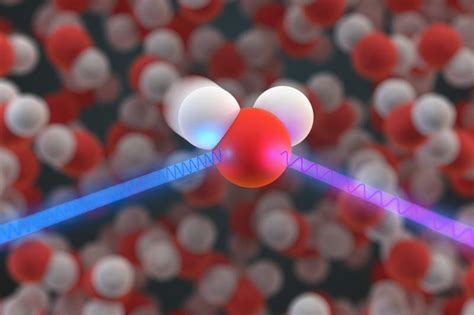 Homogeneous Catalyst Market Potential Growth Share Demand