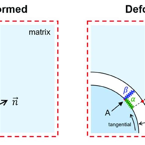 Schematic Of An Interface Spring Model In Elasticity To Visualize