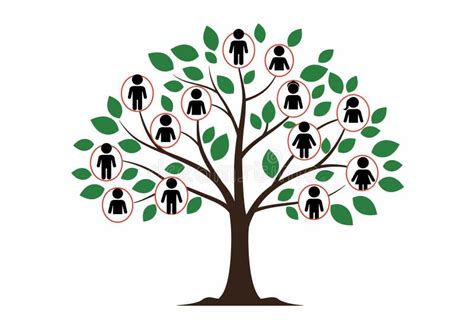 Family Tree Branches Clip Art