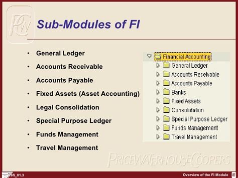 Sap Fi Overview