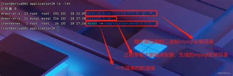 Mysql多实例部署：从概念到实操的全面指南 Csdn博客