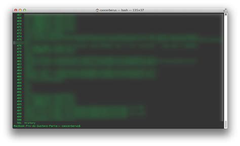 Como Saber O Histórico De Comandos Do Terminal Cocatech