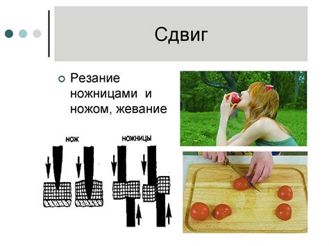 Виды деформации. Растяжение - презентация онлайн