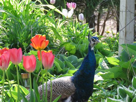 How This City Girl Learned To Love Her New Life In The Northwoods Of