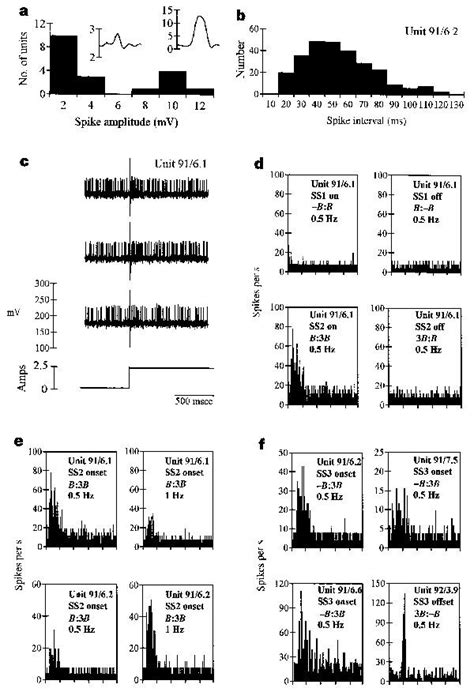 Electrophysiological Responses To Magnetic Fieldsa Histogram Of Spike Download Scientific