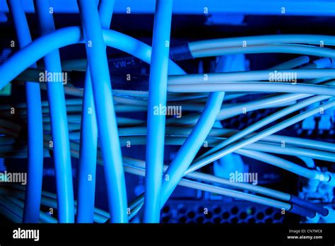 Network Cables Connected To Hub Stock Photo Alamy