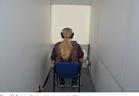 Figure 25 From The Acute Alerting Effects Of Light During Daytime