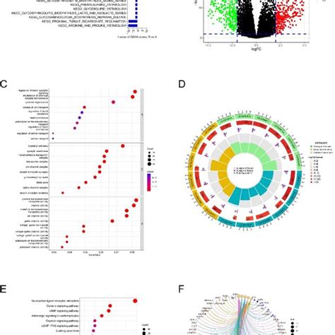 Functional Enrichment Analysis Across Subgroups A Gsva Analysis