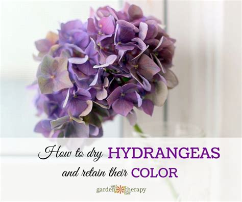 Easy To Make Hydrangea Wreath Tips To Make It Last