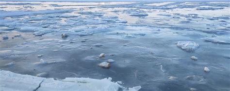 Посткроссинг на Камчатке Приветствуем всех любителей открыток марок конвертов писем и