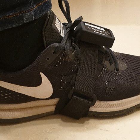 Positioning Of The Inertial Measurement Units Download Scientific Diagram