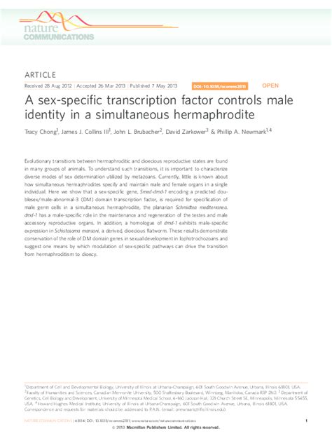 A Sex Specific Transcription Factor Controls Male Identity In A