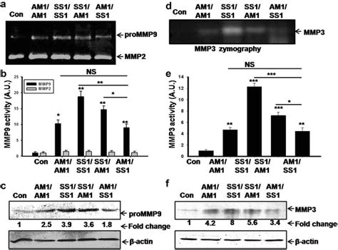 Effect Of H Pylori Infection And Coinfection On Activity And