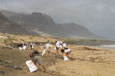 TrÊs Toneladas De Lixo Foram Removidas Este Ano Das Praias De SÃo
