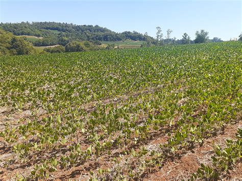 municípios do RS decretam situação de emergência segundo Defesa Civil