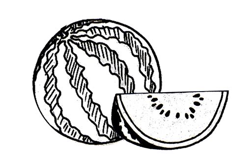 Gambar Lakaran Buah Buahan Contoh Lukisan Tembikai Bu