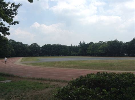 東大和市の公園・庭園ランキングtop1 じゃらんnet