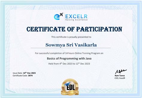 sowmya sri vasikarla on linkedin excelr javaprogramming