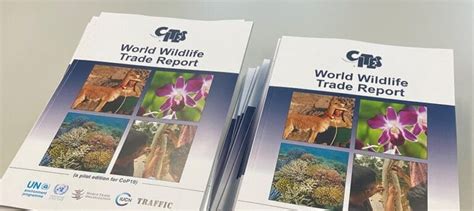 Cites Report Delves Into Global Wildlife Trade The Wildlife Society Cites Report Delves Into Global Wildlife Trade The Wildlife Society