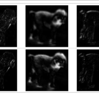 Five Examples Of Output Of Convolution Of Kernels With Input Image In Download Scientific
