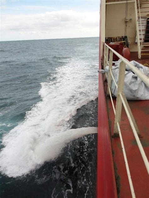 Ballast Water Management Is Reducing The Flow Of Invasive Species Into
