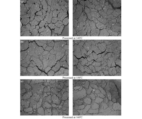 Optical Micrographs Of The Polished Cross Sections Of Jutepp Download Scientific Diagram