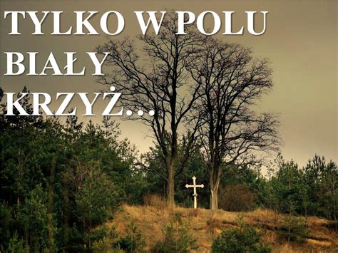 PPT ROCZNICA ODZYSKANIA NIEPODLEGŁOŚCI POLSKI PowerPoint Presentation ID