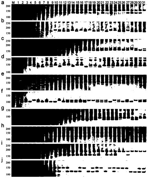 Method For Constructing Single Gene Segregation Population Of Plant