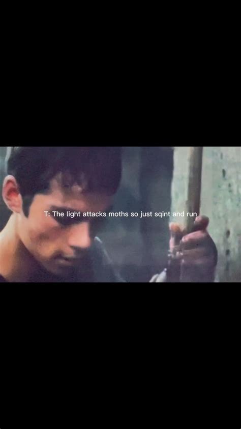 POV Y N Being Y N Maze Runner Movie Newt Maze Runner Maze Runner