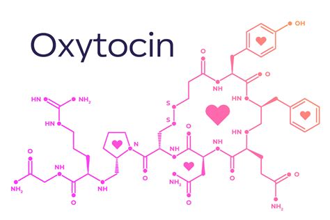 Chemical Compound For Oxytocin